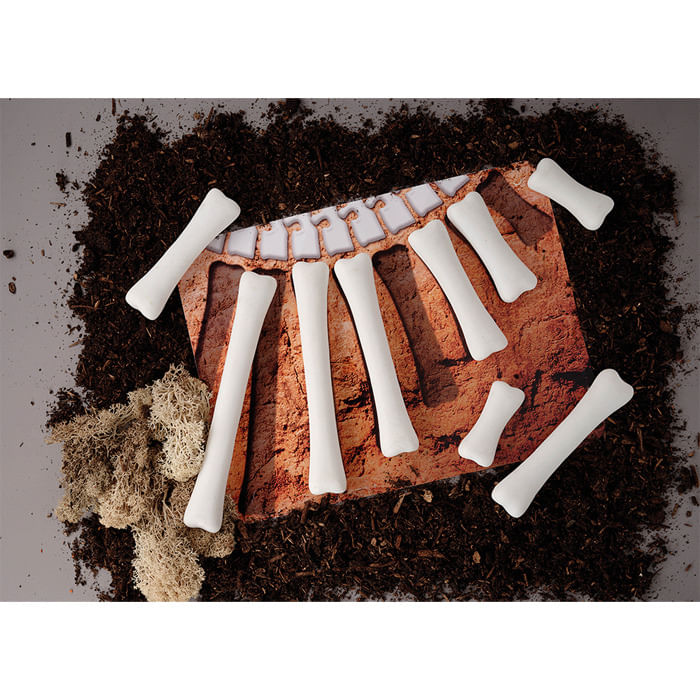 Dinosaur Bones Match and Measure Cards - Chooze