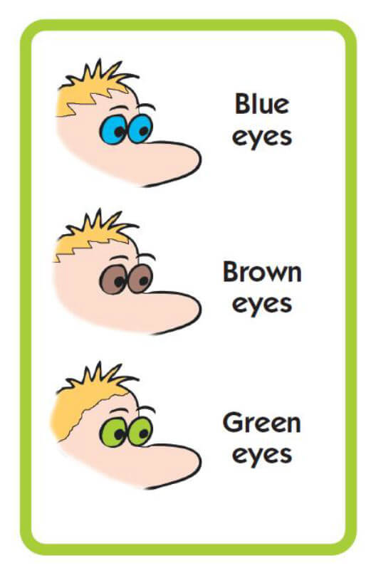 Talkabout Cards - Self Awareness Activities - Chooze