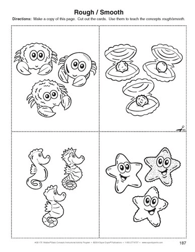 Webber Basic Concepts Instructional Activity Program - Chooze