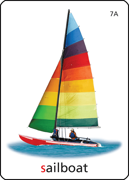 Artic Photos Fun Decks Combo - Revised Set 1 - Chooze